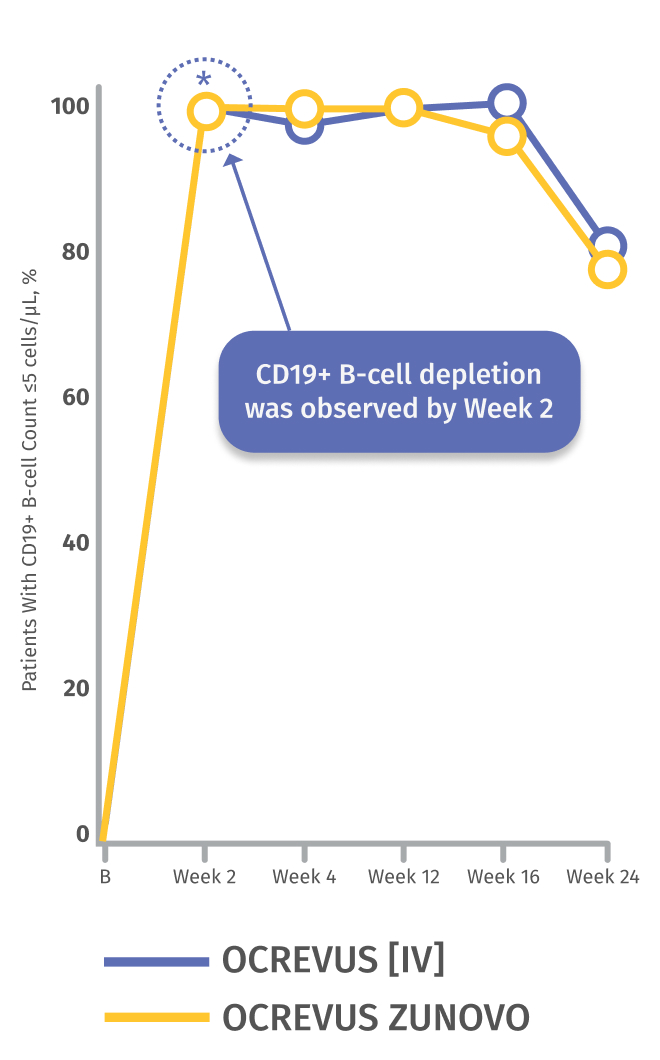 Efficacy | OCREVUS ZUNOVO® (ocrelizumab & hyaluronidase-ocsq)